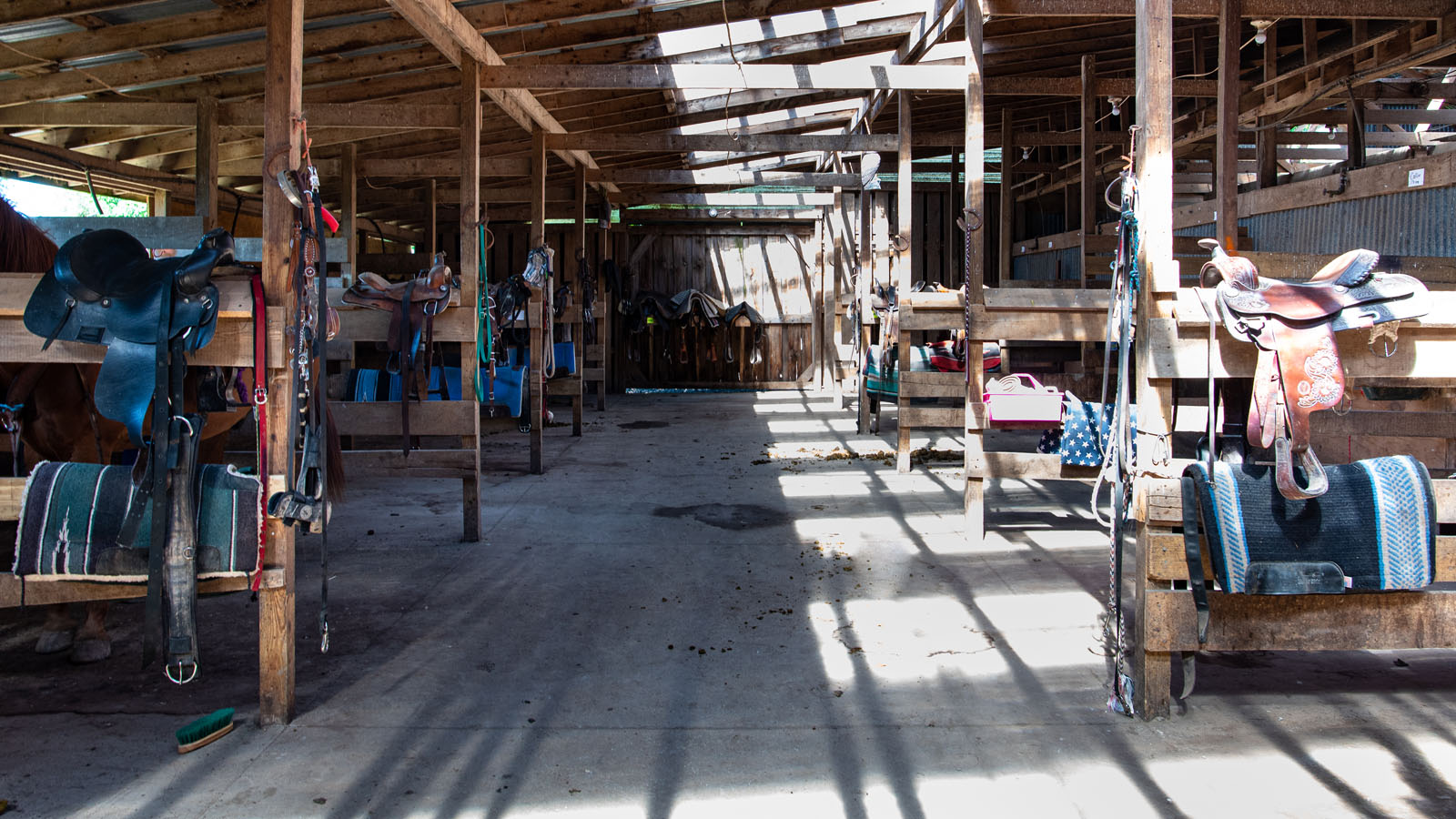 Pine Ridge Dude Ranch: The Short Road Back | Kingston NY Happenings