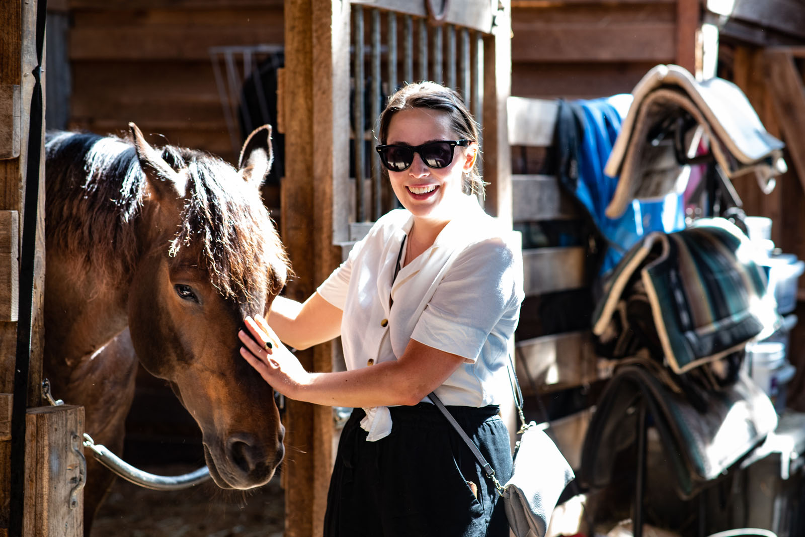 Pine Ridge Dude Ranch: The Short Road Back | Kingston NY Happenings