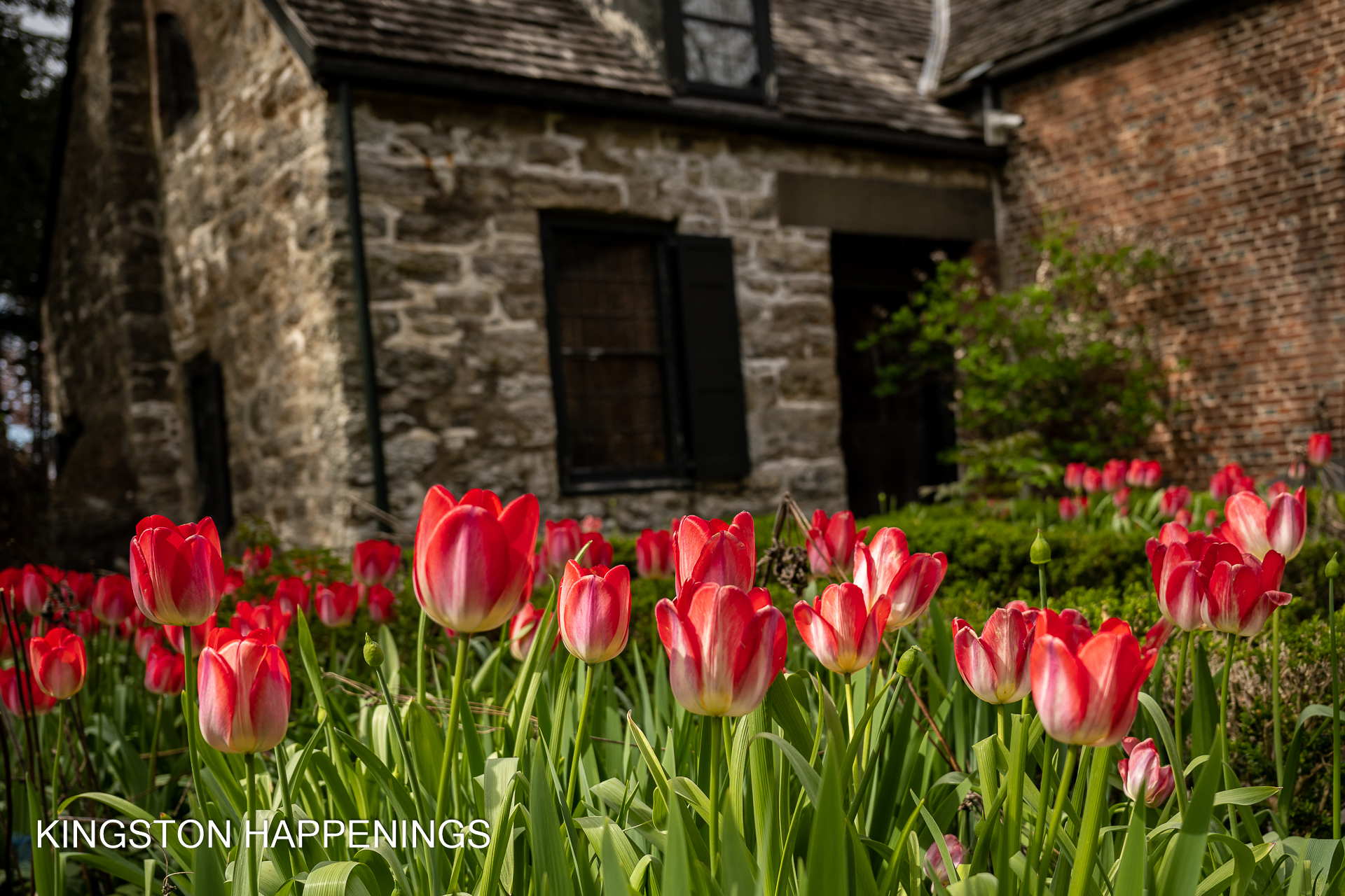 Things to Do This Week in Kingston, NY for 5/10 - 5/15 | Kingston NY ...